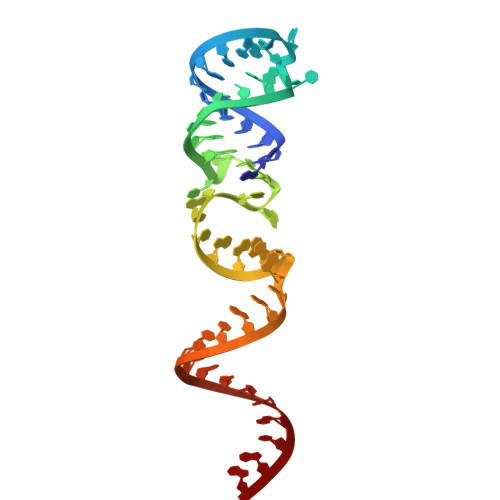 RCSB PDB - 9LZU: RfxCas13d-crRNA-target RNA ternary complex