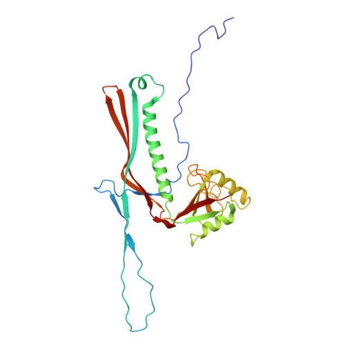 RCSB PDB - 9M66: Cryo-EM structure of bacteriophage NF5 capsid