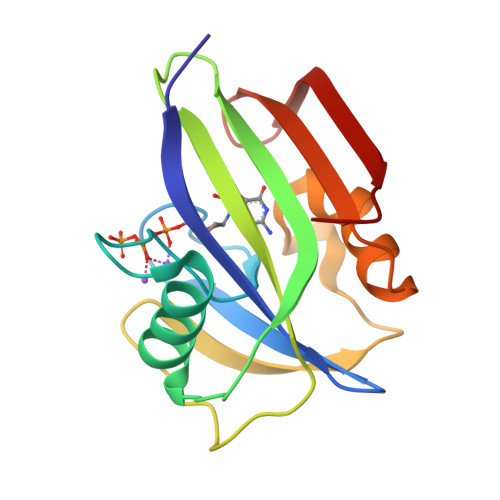 RCSB PDB - 9MBE: Neutron crystal structure of human MTH1(G2K/C87A/C104S ...