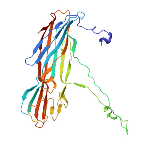 RCSB PDB - 9MBX: Cryo-EM structure of alpha-hemolysin heptameric pre ...