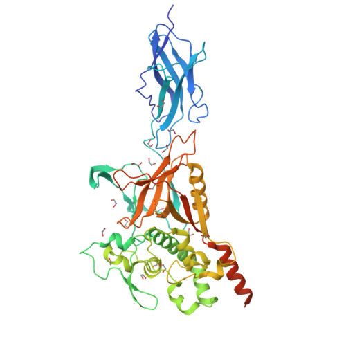 RCSB PDB - 9MDO: Crystal Structure of Y559A Prosegment Binding Loop ...