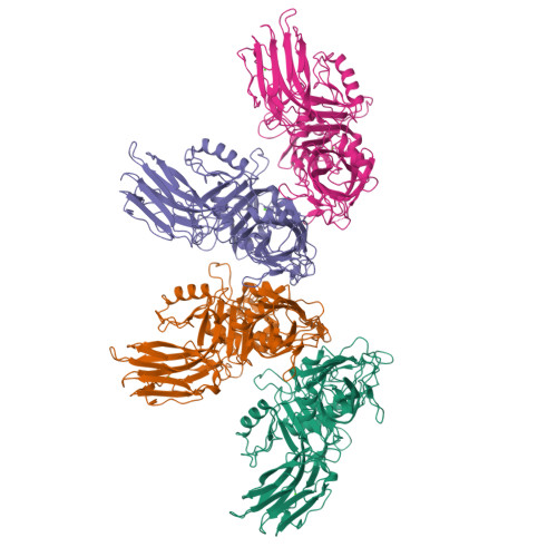 RCSB PDB - 9MDP: Clostridioides difficile Transferase B Component Tetramer