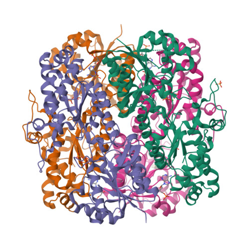 RCSB PDB - 9MED: Crystal Structure Pyrophosphate-fructose 6-phosphate 1 ...
