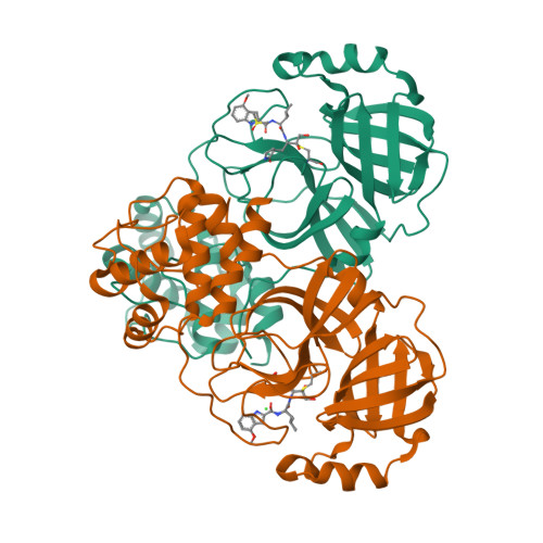 RCSB PDB - 9MEI: Crystal Structure of SARS-CoV-2 Mpro mutant L50F E166V ...