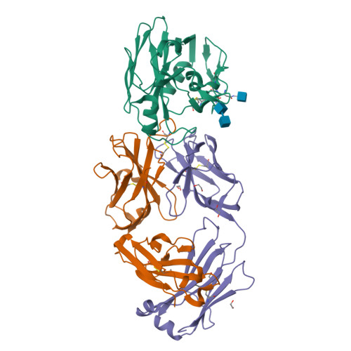 RCSB PDB - 9MEV: Structure of H1H3:FluA20 Chimeric Antigen Complex