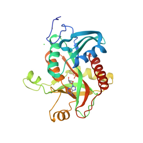 RCSB PDB - 9MFC: Crystal structure of Purine nucleoside phosphorylase ...