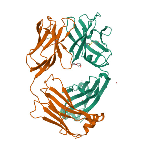 RCSB PDB - 9MFN: Crystal Structure of ADI-64596 (human Fab, with ...