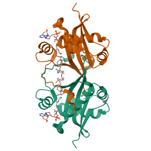 RCSB PDB - 9MGS: Structure of aminoglycoside acetyltransferase AAC(3 ...