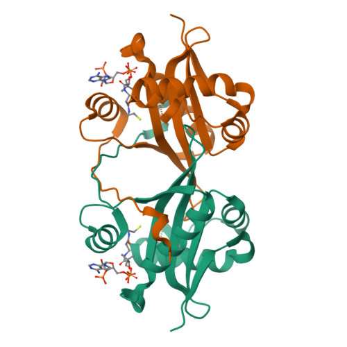 RCSB PDB - 9MGU: Structure of aminoglycoside acetyltransferase AAC(3 ...