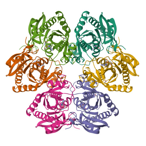 RCSB PDB - 9MH2: Crystal structure of Purine nucleoside phosphorylase ...