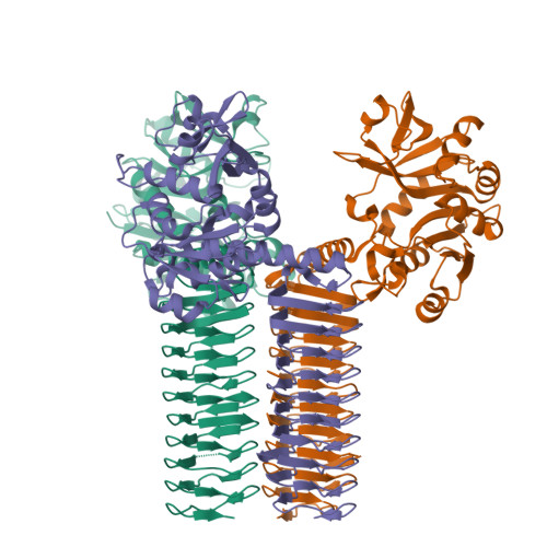 RCSB PDB - 9MH4: Crystal Structure of Bifunctional protein GlmU from ...