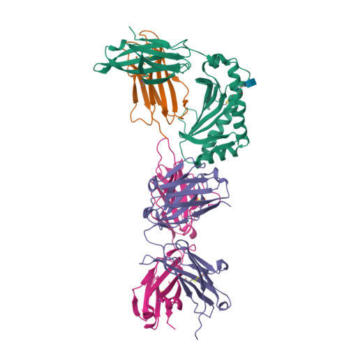 RCSB PDB - 9MI6: Crystal structure of human FcRn in complex with ...