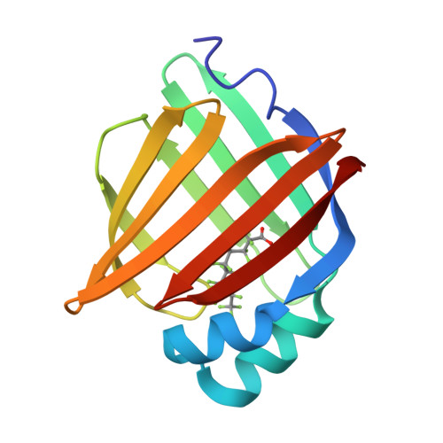RCSB PDB - 9MIZ: Fatty Acid Binding Protein 4 (FABP4) Complexed with ...