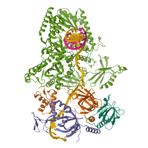 RCSB PDB - 9MJ5: Catalytic domain of human DNA polymerase alpha in ...