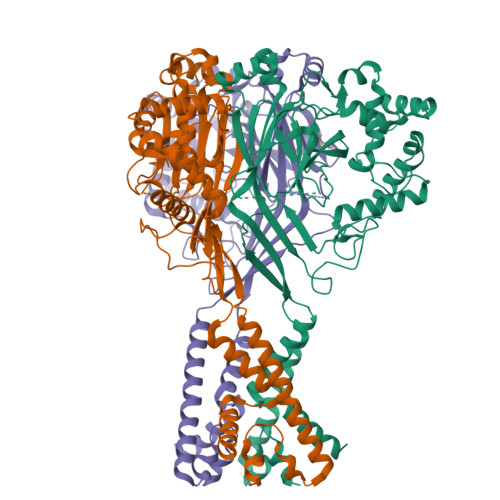 RCSB PDB - 9MLV: Structure of acid-sensing ion channel 5 without ...