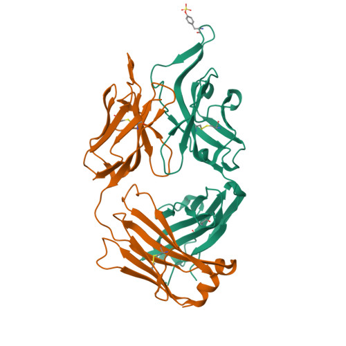 RCSB PDB - 9MPB: Crystal structure of the HIV V2-apex-targeting ...