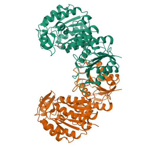 RCSB PDB - 9MPY: Structure of Saro_1862, a UPF0261 domain protein from ...