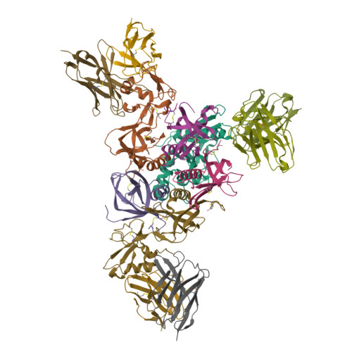 RCSB PDB - 9MR7: Genetiocally detoxified pertussis toxin in complex ...