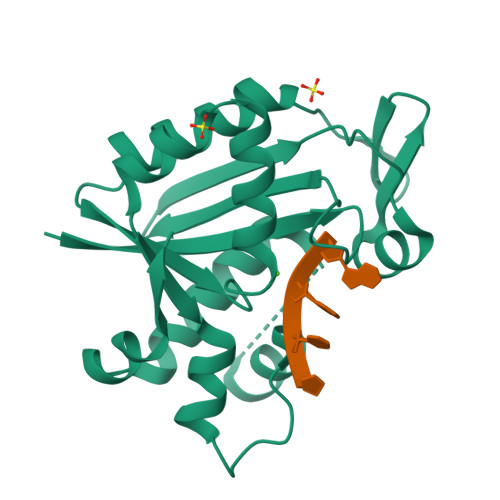 RCSB PDB - 9MRD: Crystal Structure of TREX1 Homolog Plex9.1 bound to ssDNA