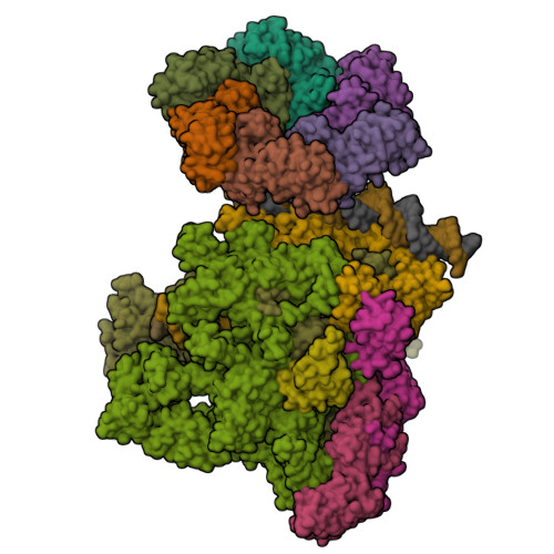 RCSB PDB - 9MSF: de novo SigN RNA polymerase transcription initiation ...