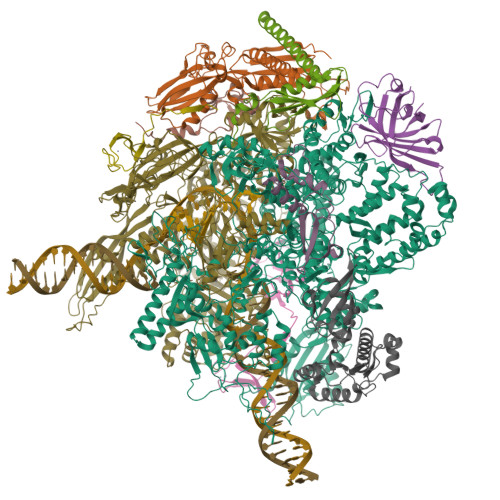 RCSB PDB - 9MU8: Structure of a native Drosophila melanogaster Pol II ...