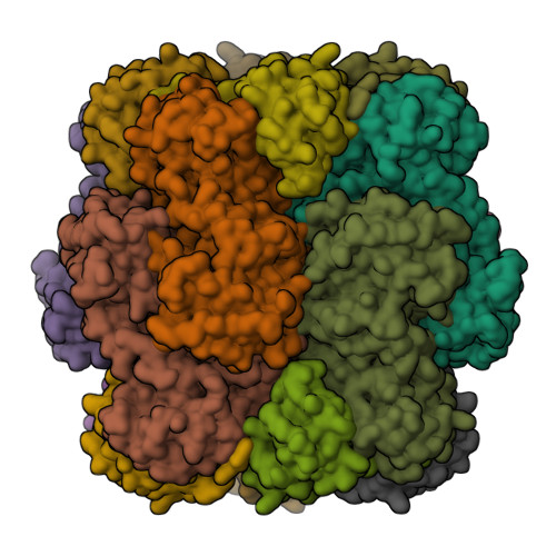 RCSB PDB - 9MUR: Cryo-EM structure of Rubisco from Arabidopsis thaliana ...