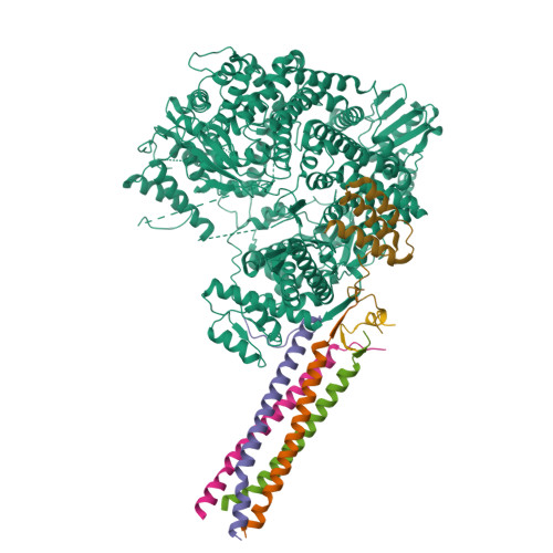 RCSB PDB - 9MUW: Cryo-EM structure of a truncated Nipah virus (Malaysia ...