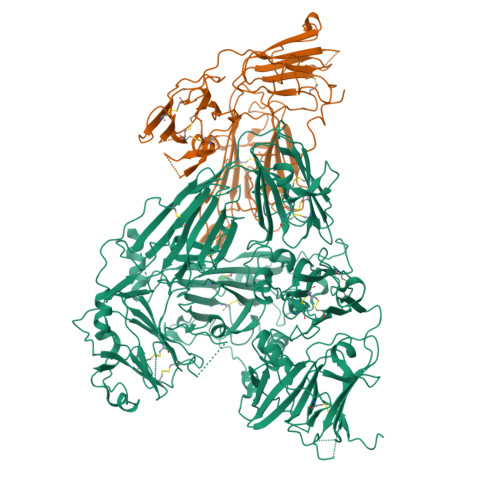 RCSB PDB - 9MVV: Pfs230 (D9-D14) with Pfs48/45 of the endogenous Pfs230 ...