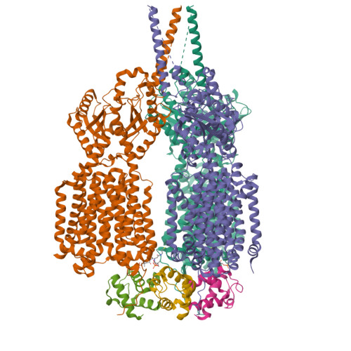 RCSB PDB - 9MW0: Bipartite complex of MmpL5-AcpM from Mycolicibacterium ...