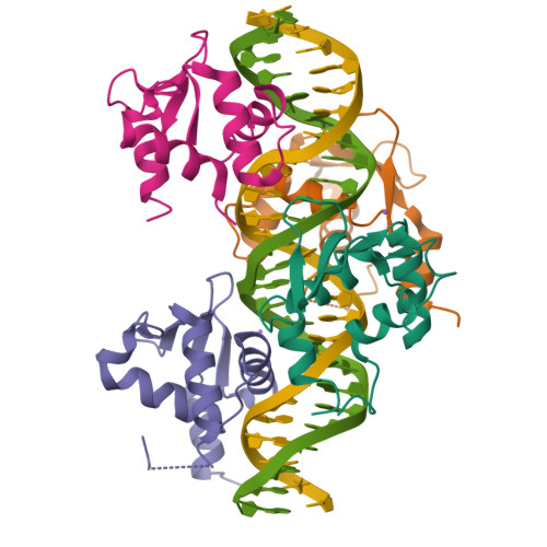 RCSB PDB - 9MWY: Crystal structure of the DNA binding domain of FLI1 in ...