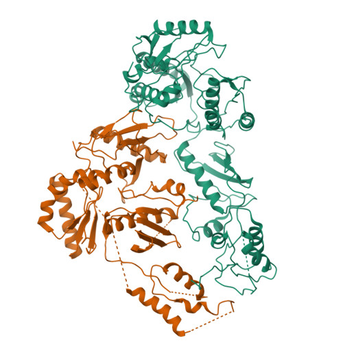 RCSB PDB - 9MXQ: Cryo-EM Structure of HIV-1 Reverse Transcriptase p66 ...