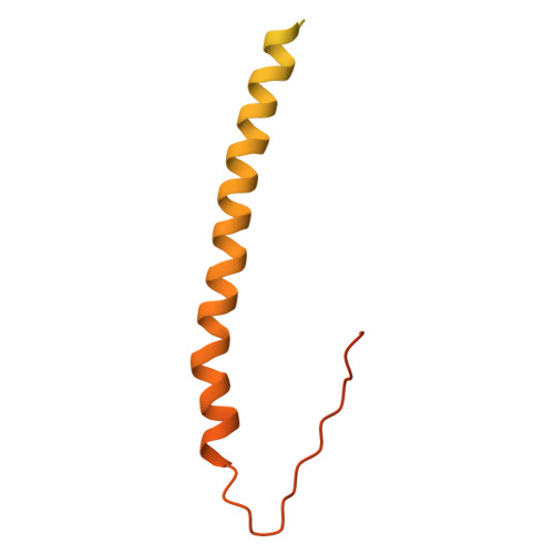 RCSB PDB - 9N0S: 3.47A Bornavirus L-P complex (after incubation with ...