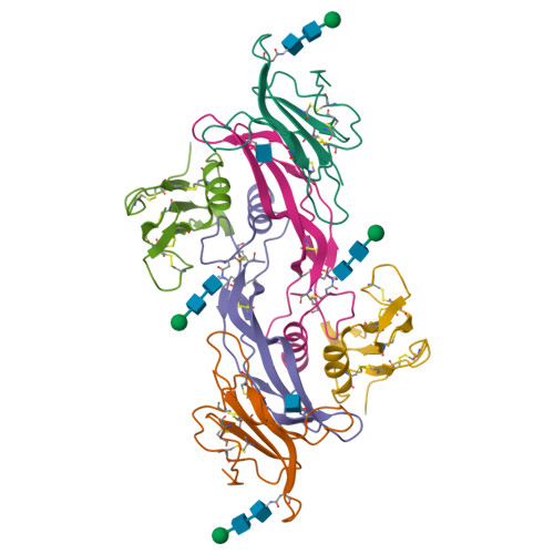 RCSB PDB - 9N4K: CryoEM structure of ALK2-ActRIIB bound to BMP6