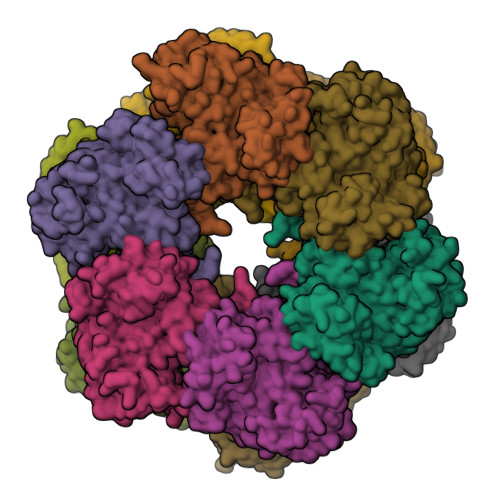 RCSB PDB - 9N4X: CryoEM structure of the Azotobacter vinelandii ...