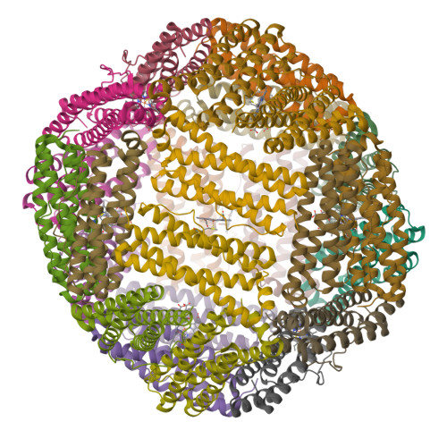 RCSB PDB - 9N5A: CryoEM structure of Azotobacter vinelandii ...