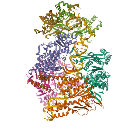 RCSB PDB - 9N6C: Structure of the Retron IA Complex without the HNH ...