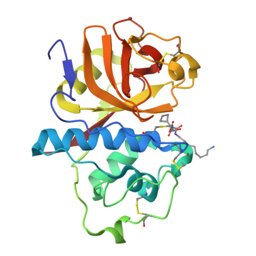RCSB PDB - 9NAY: MicroED structure of papain complexed with natural ...