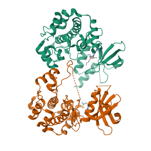 RCSB PDB - 9NBX: Crystal structure of PAK1 bound to C2