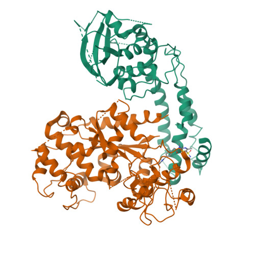 RCSB PDB - 9NEE: The flexible portion of Cryo-EM structure of ...