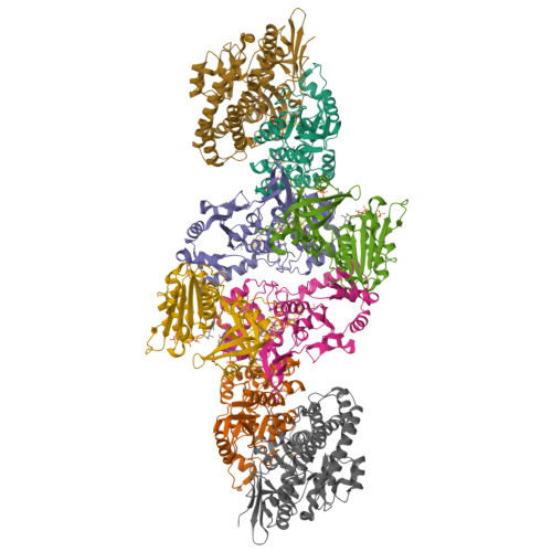RCSB PDB - 9NF0: Structure of the NADPH-bound Pyrococcus furiosus SHI ...