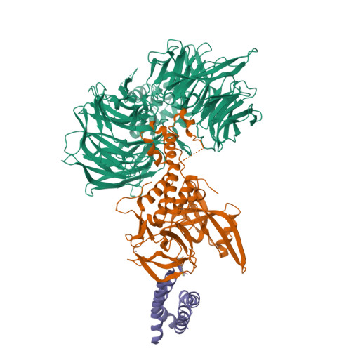 RCSB PDB - 9NGT: Crystal structure of CRBN-DDB1 and FPFT-2216 in ...