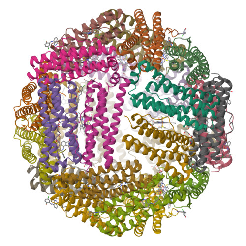 RCSB PDB - 9NHR: Crystal structure of structure of WT BfrB from ...