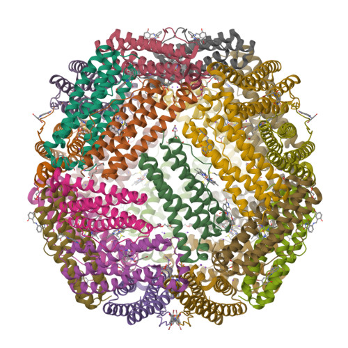RCSB PDB - 9NHT: Crystal structure of structure of WT BfrB from Pseudomonas aeruginosa in ...