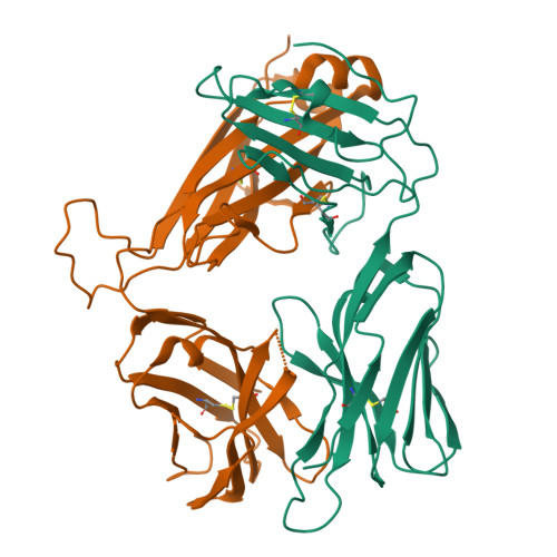 RCSB PDB - 9NII: Crystal structure of citrullinated Tenascin-C ...