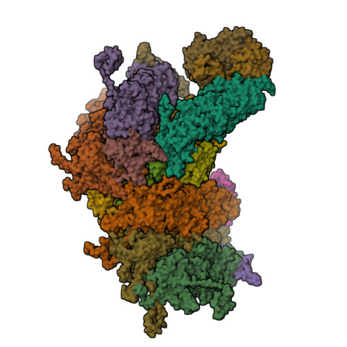 RCSB PDB - 9NO1: Cryo-ET map of the VZV capsid vertex (5-fold axis).