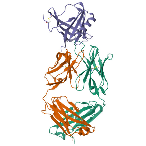 RCSB PDB - 9NPG: X-ray crystal structure of recombinant Can f 1-C100S ...