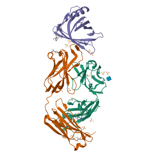 RCSB PDB - 9NPH: X-ray crystal structure of recombinant Can f 1 in ...