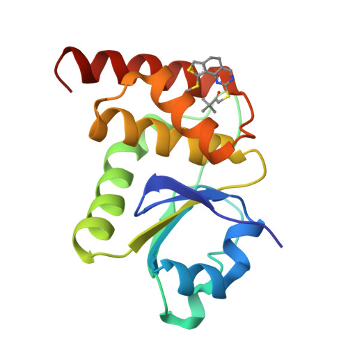 RCSB PDB - 9NSB: Crystal structure of an MKP5 allosteric loop mutant, S446G, in complex with an ...