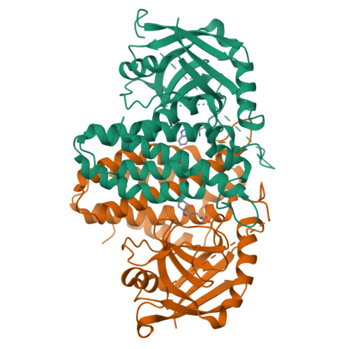 RCSB PDB - 9NSC: Bacterial Pictet-Spenglerase KslB in complex with L-Trp