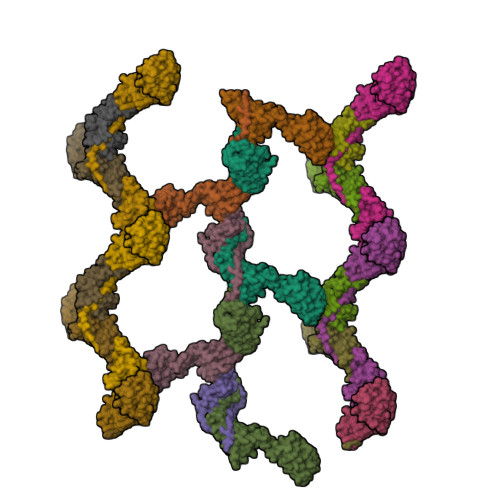 RCSB PDB - 9NU2: Uromodulin filament lattice in the straight ...